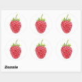 One raspberry classic round sticker | Zazzle