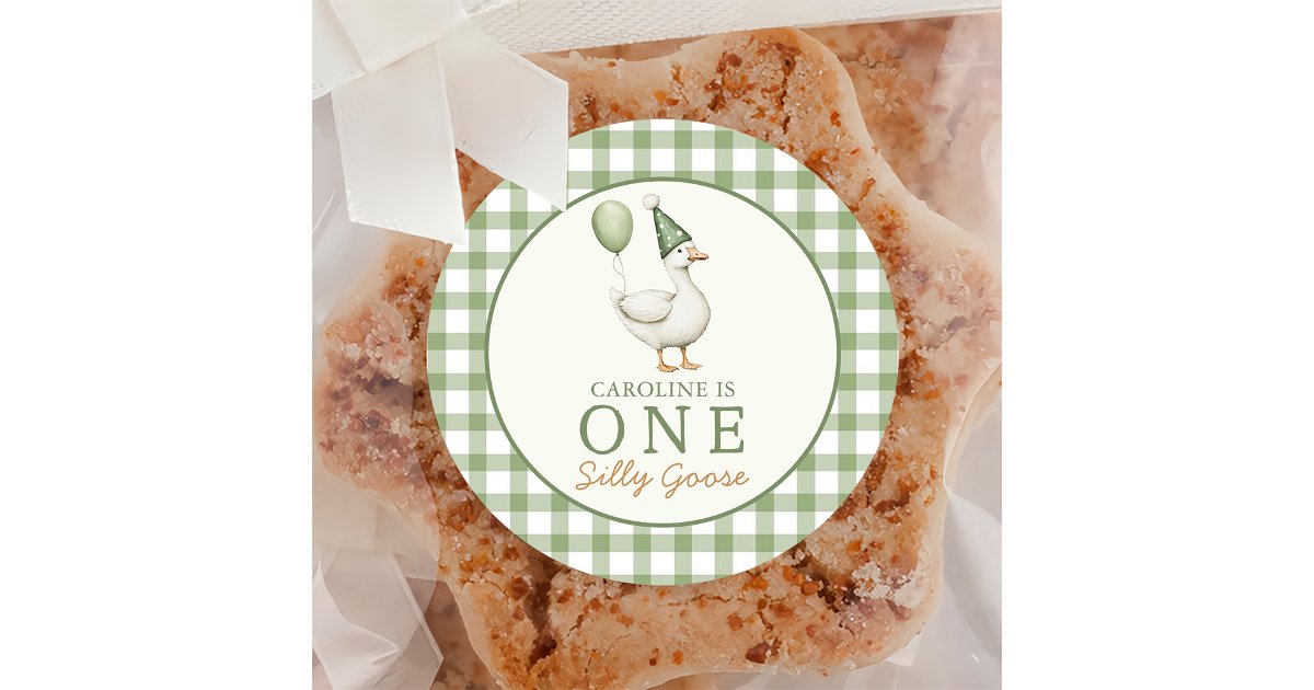 One Silly Goose Boy 1st Birthday Sticker | Zazzle