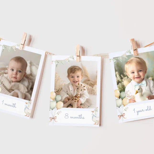 One silly goose Boy Photo monthly banner card | Zazzle