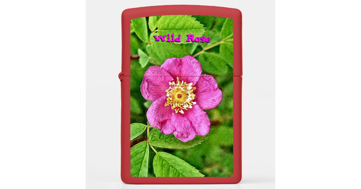 One Wild Rose Zippo Lighter | Zazzle