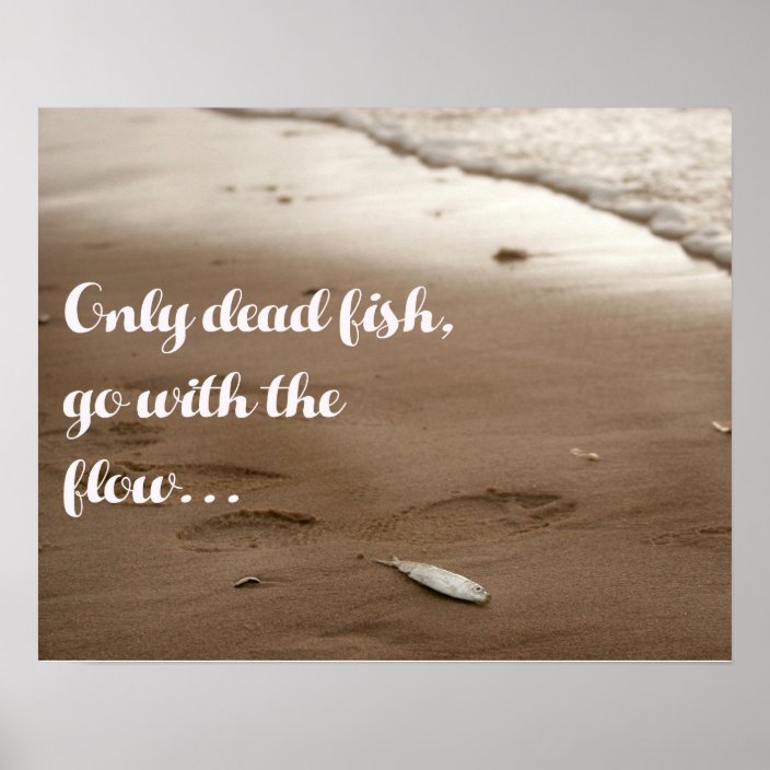 Only dead fish go with the flow | Fun quote Poster | Zazzle