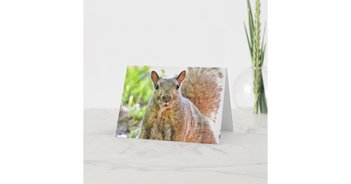 Ooops I Missed Your Birthday Card | Zazzle