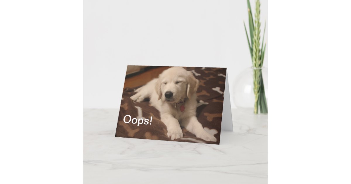 Oops, I'm sorry Card | Zazzle