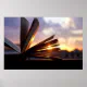 Open Book and Sunset Photography Poster | Zazzle