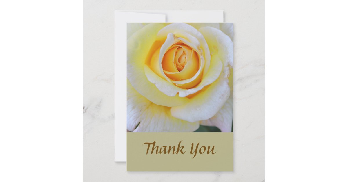 Opening Movement Yellow Rose Thank You Card | Zazzle