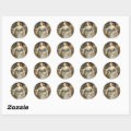 Ophelia Stickers | Zazzle
