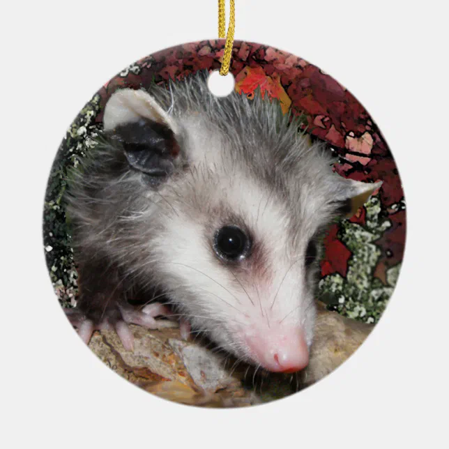 Opossum Baby Ceramic Ornament | Zazzle