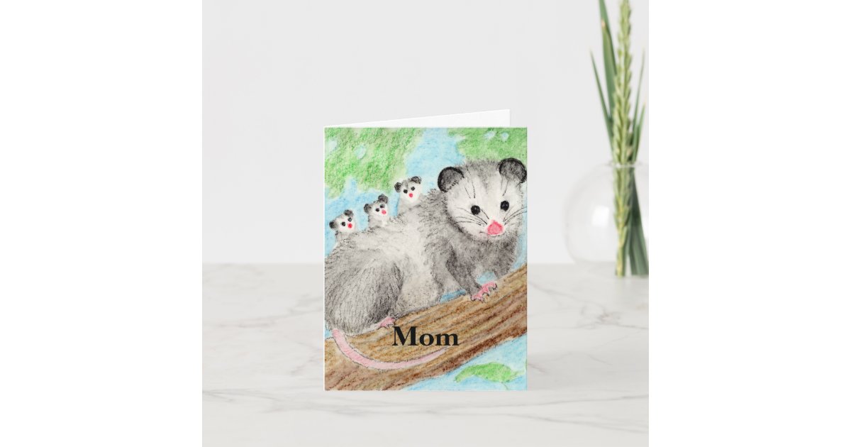 Opossum Card | Zazzle