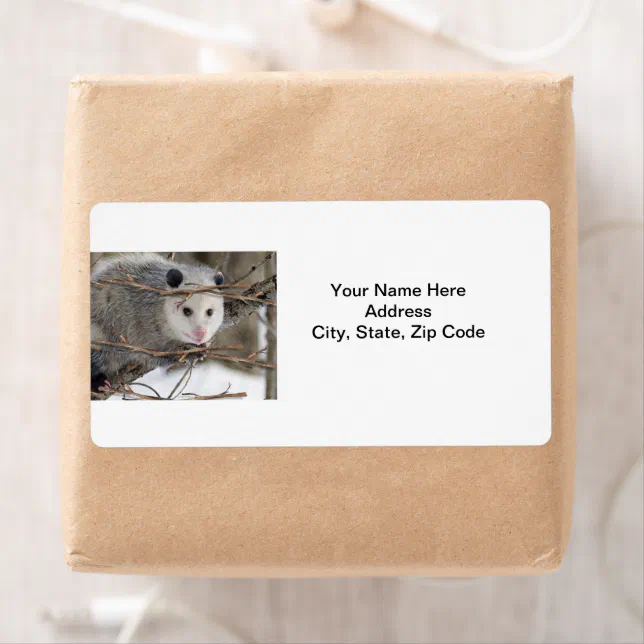 Opossum Nature Labels | Zazzle