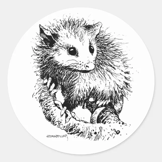 Opossum Stickers | Zazzle