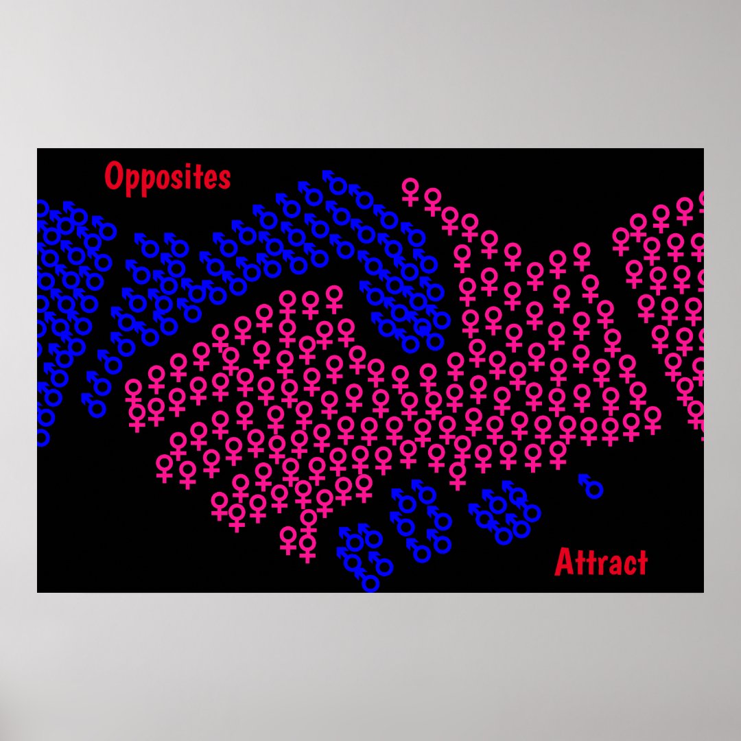 Opposites Attract Poster | Zazzle