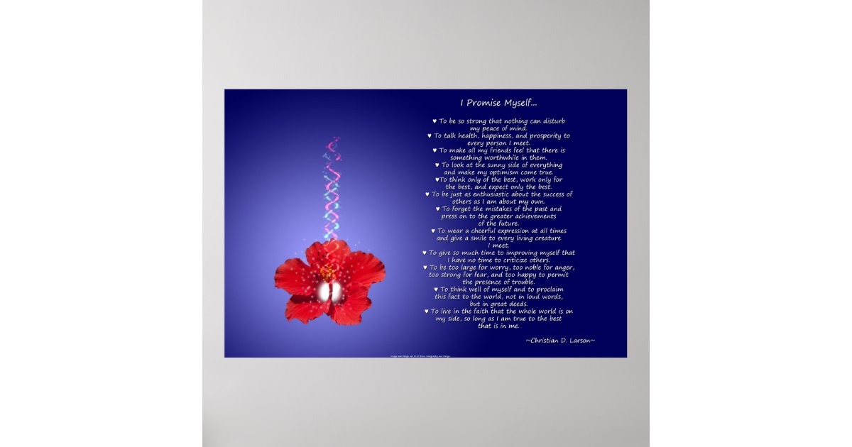 Optimist's Creed: Inspirational Hibiscus Poster | Zazzle