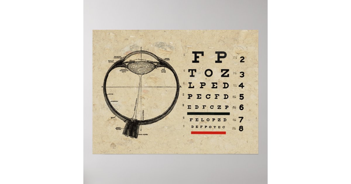 Optometry Poster Ophthalmologist Eye Chart | Zazzle
