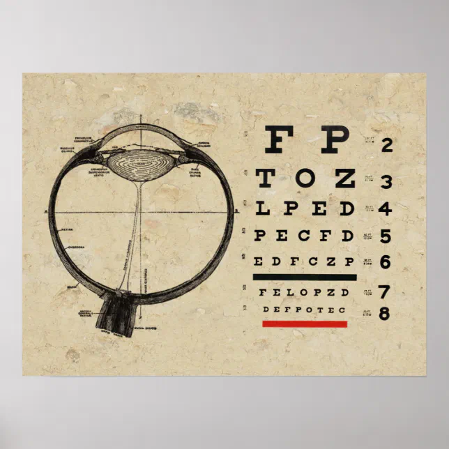 Optometry Poster Ophthalmologist Eye Chart | Zazzle