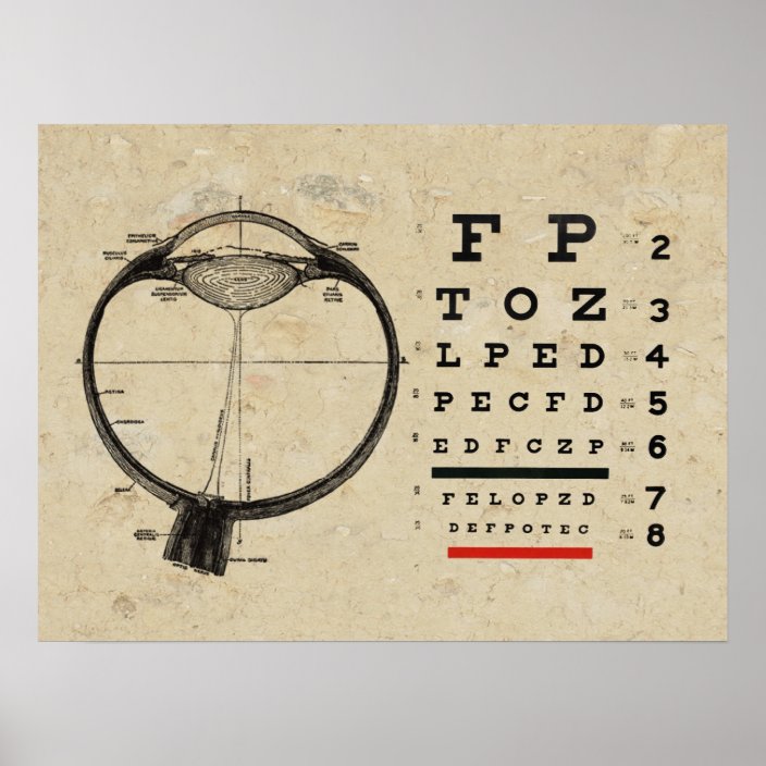 Optometry Poster Ophthalmologist Eye Chart | Zazzle.com