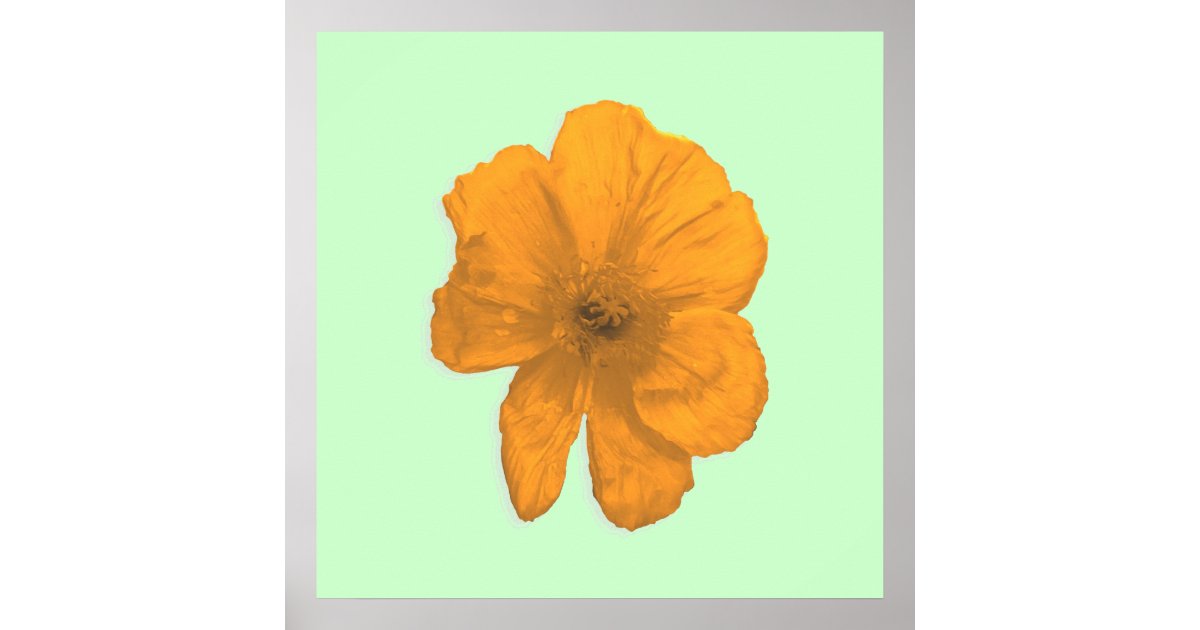 Orange Aid/ PopArt Flower Poster | Zazzle