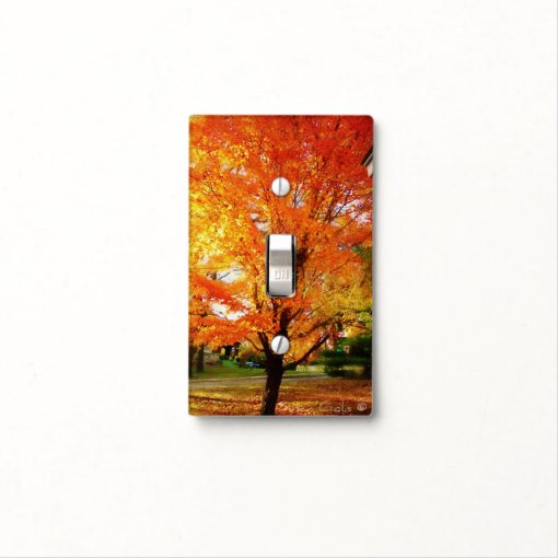 Orange Autumn Leaves Light Switch Cover | Zazzle