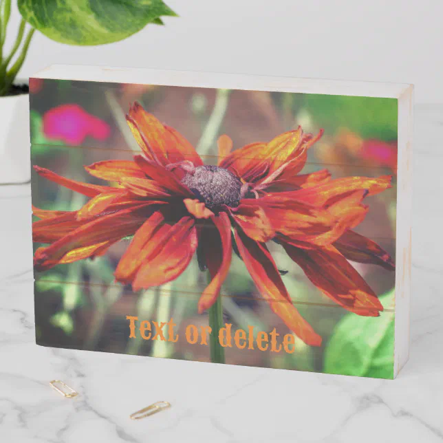 Orange Black Eyed Susan Flower Personalized Wooden Box Sign | Zazzle