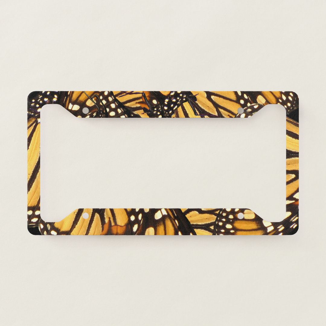 Orange Black Monarch Butterfly License Plate Frame | Zazzle