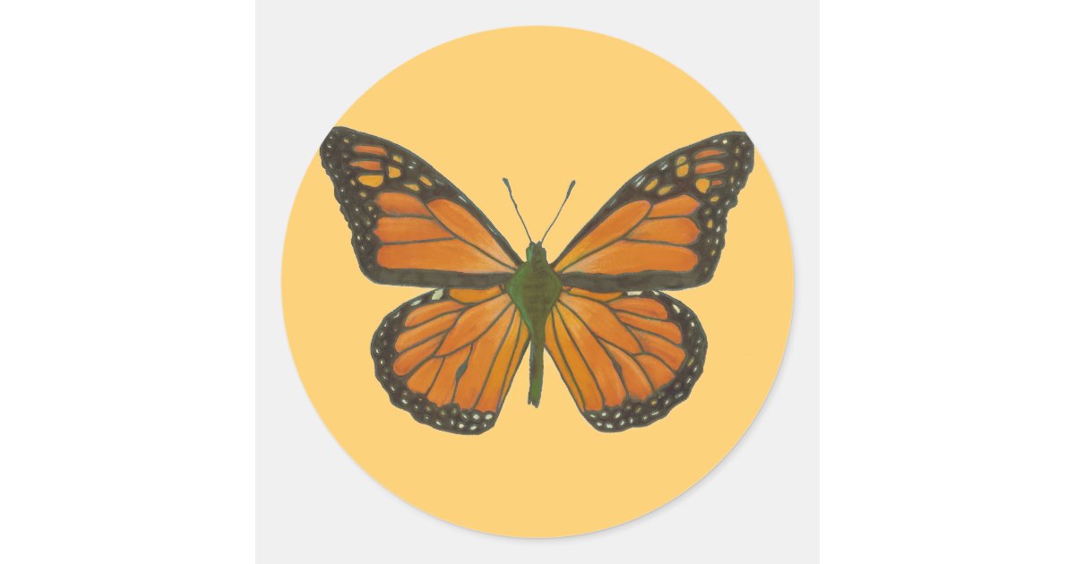 Orange Butterfly Sticker | Zazzle