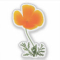 orange Californian poppy Sticker | Zazzle