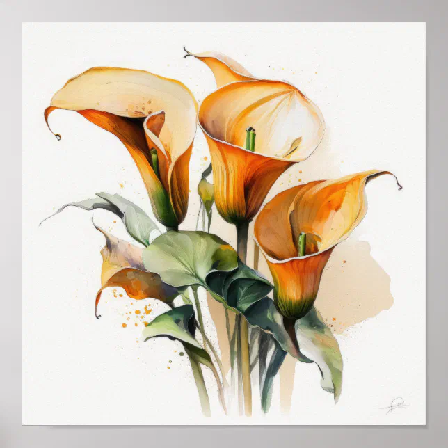 Orange Calla Lilies Lily Flower Art Print Poster | Zazzle