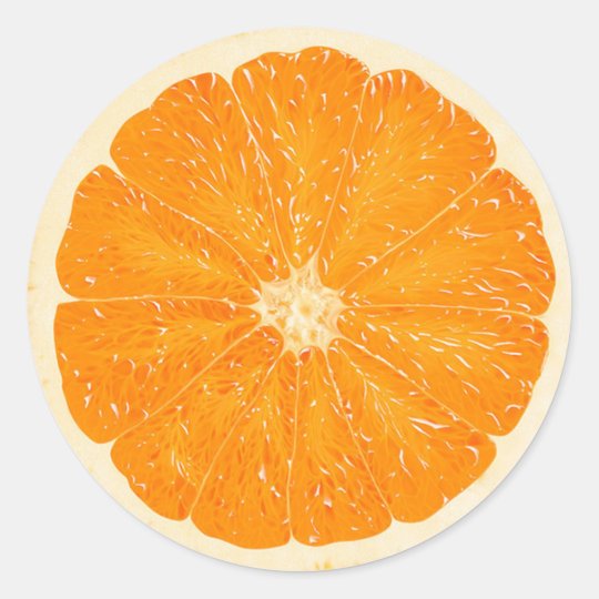 Orange citrus sticker | Zazzle.com