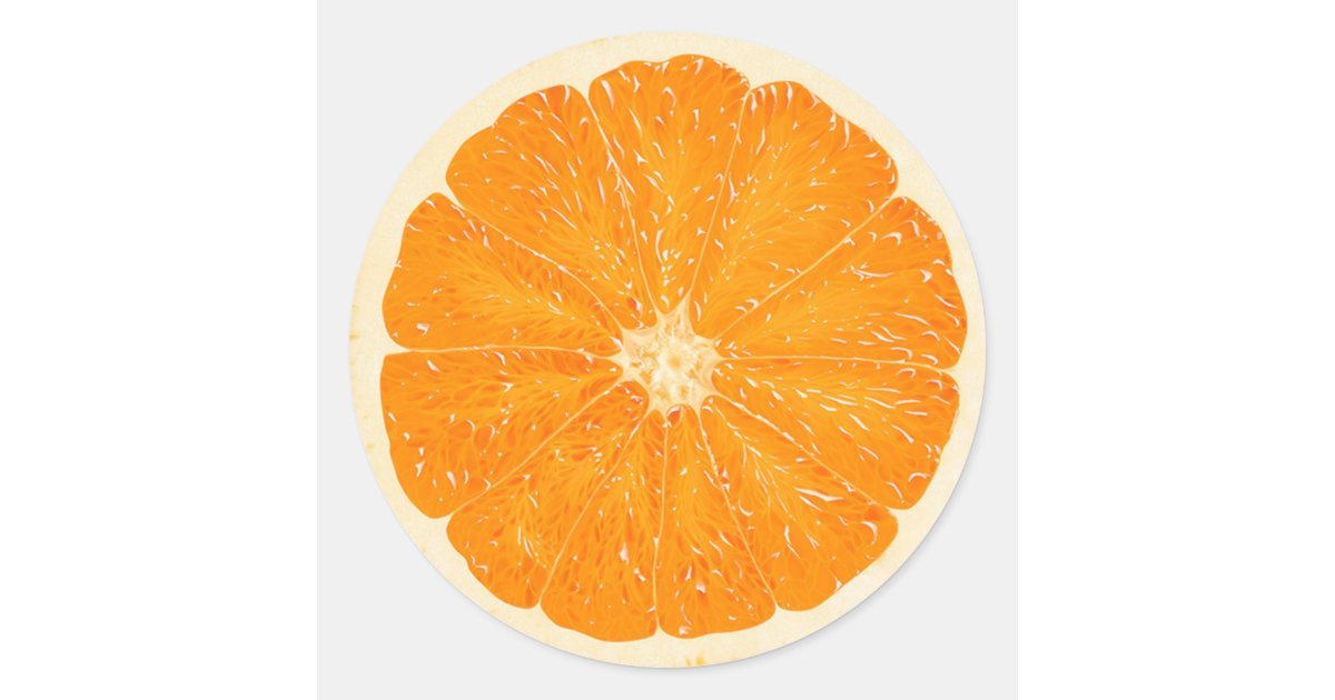 Orange citrus sticker | Zazzle