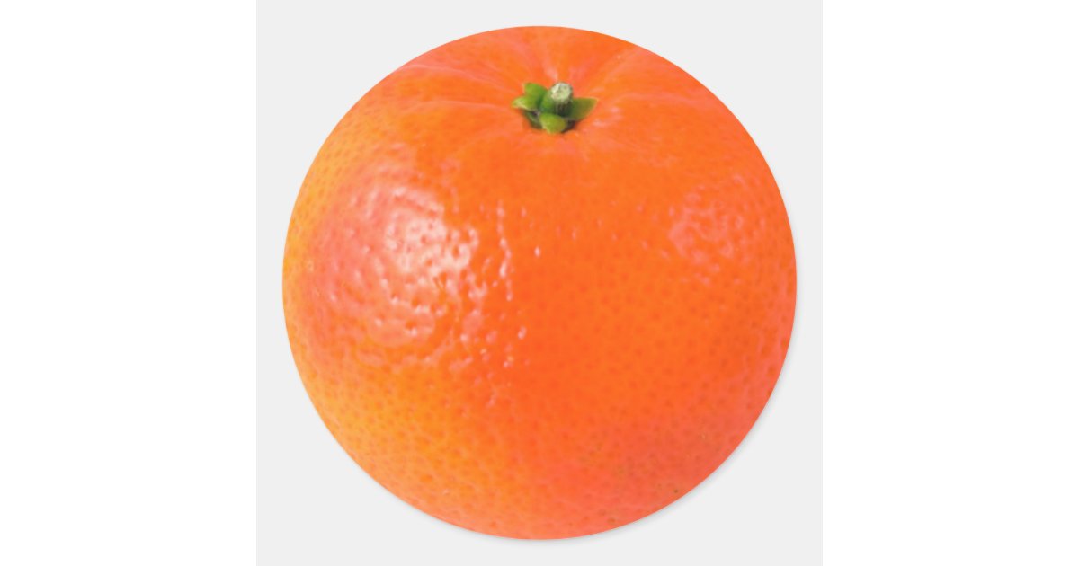 Orange Classic Round Sticker | Zazzle