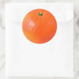 Orange Classic Round Sticker | Zazzle