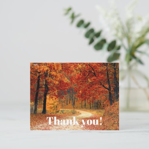 Orange Fall / Autumn Leaves Photo Thank You Postcard | Zazzle