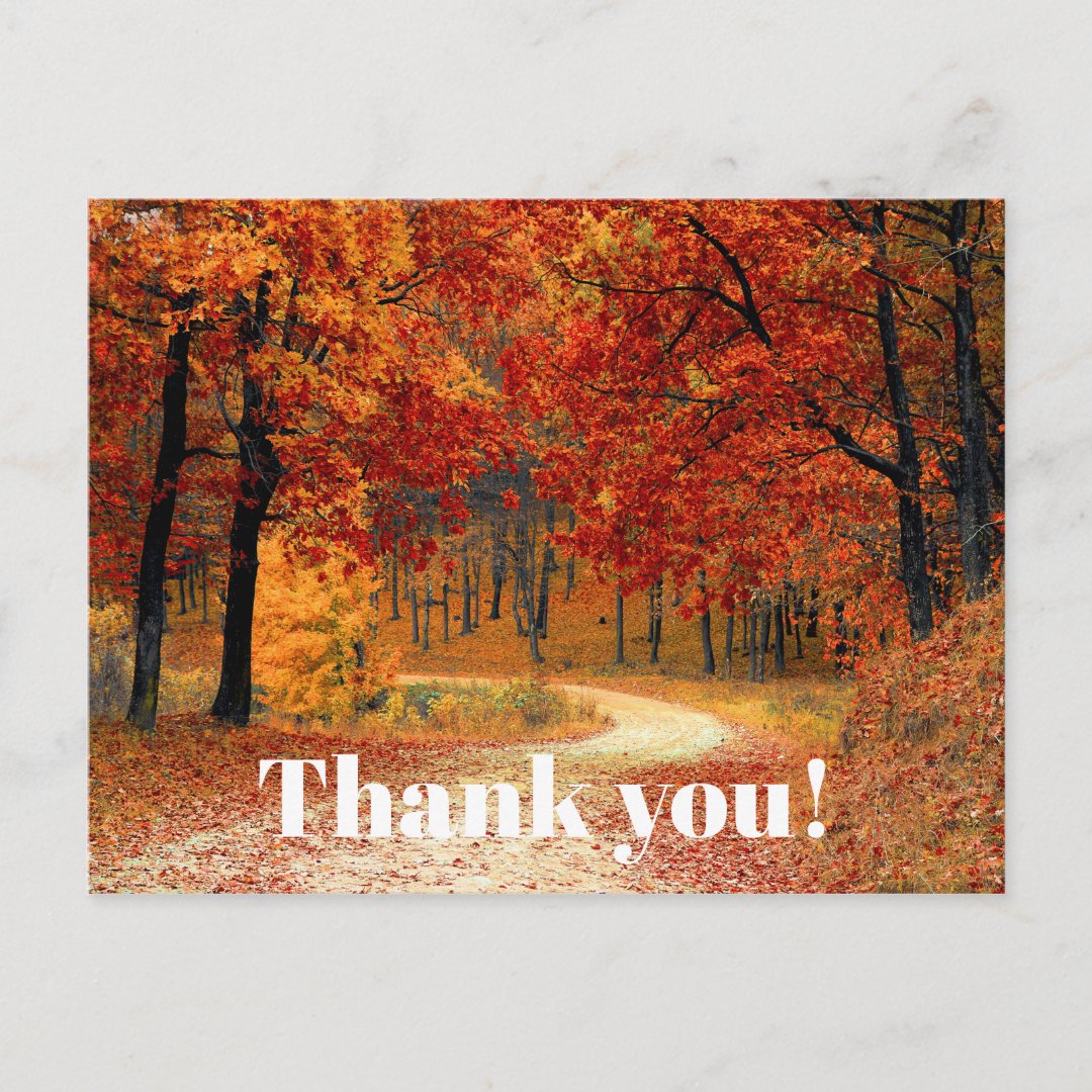 Orange Fall / Autumn Leaves Photo Thank You Postcard | Zazzle