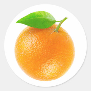 Orange Fruit Stickers | Zazzle