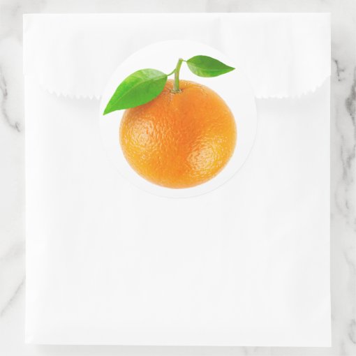 Orange fruit classic round sticker | Zazzle