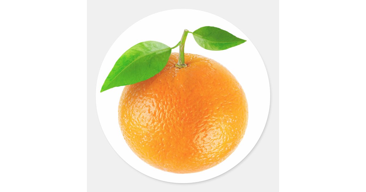 Orange fruit classic round sticker | Zazzle.com