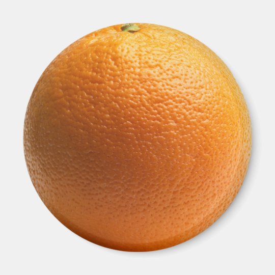 Orange Fruit Refrigerator Magnet | Zazzle.com