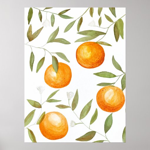 Orange Grove Painting Poster | Zazzle