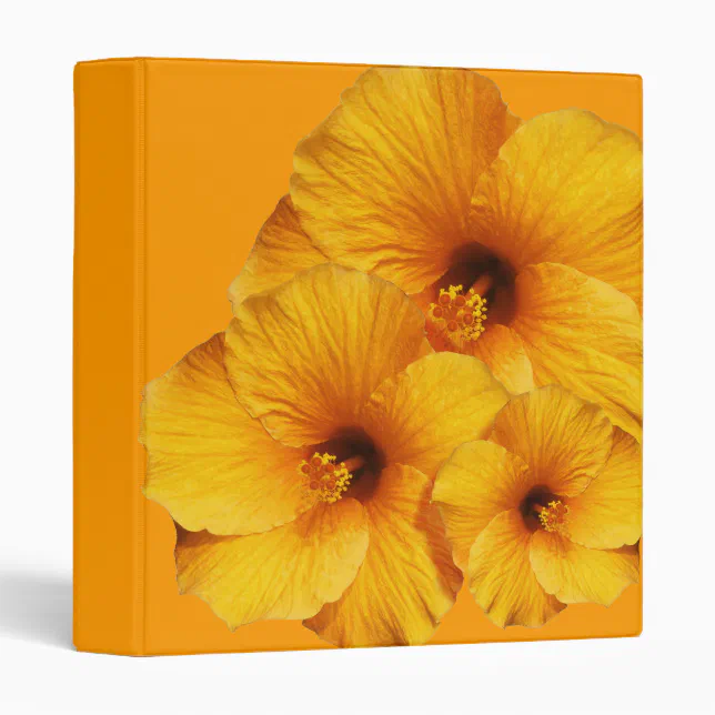 Orange Hibiscus Flower Binder | Zazzle