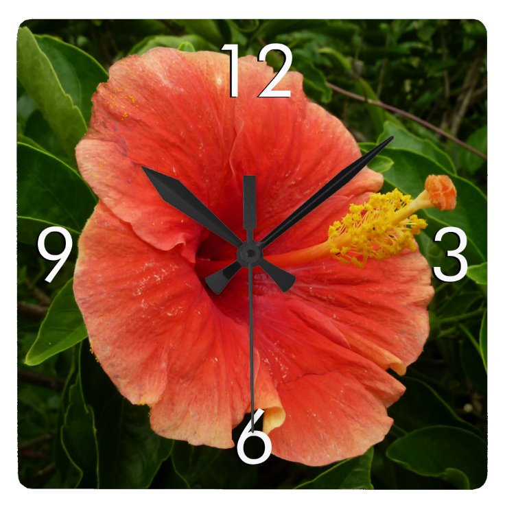 Orange Hibiscus Flower Tropical Floral Square Wall Clock | Zazzle