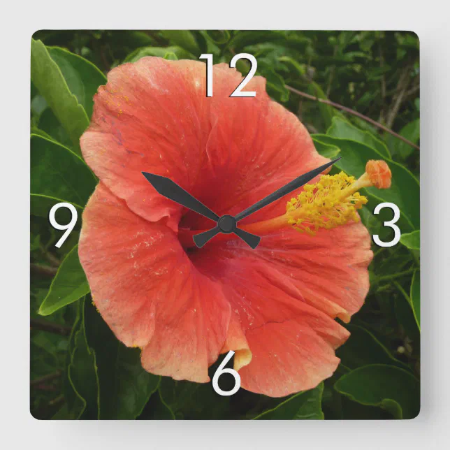 Orange Hibiscus Flower Tropical Floral Square Wall Clock | Zazzle