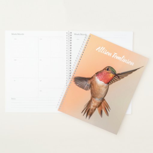 Orange Hummingbird in a Stunning Pose Personalized Planner | Zazzle