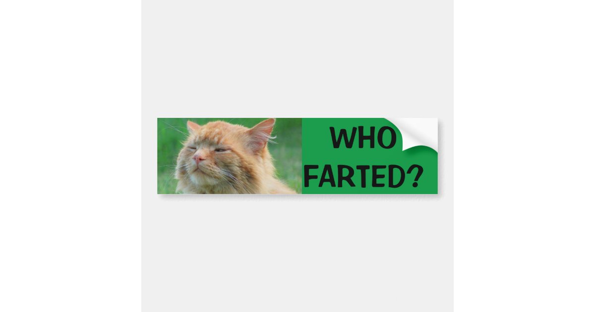 Orange Kitty asks Who Farted? Bumper Sticker | Zazzle