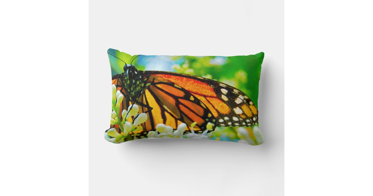 Orange Monarch Butterfly White Flower Photo Bold Lumbar Pillow | Zazzle