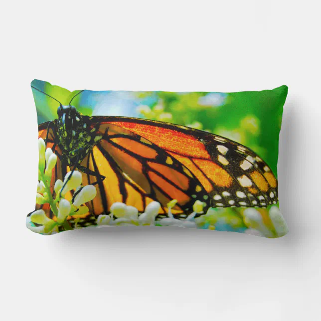 Orange Monarch Butterfly White Flower Photo Bold Lumbar Pillow | Zazzle