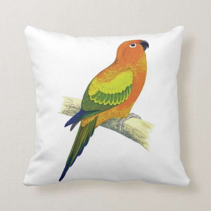 Orange Parrot Pillow No.10 | Zazzle.com