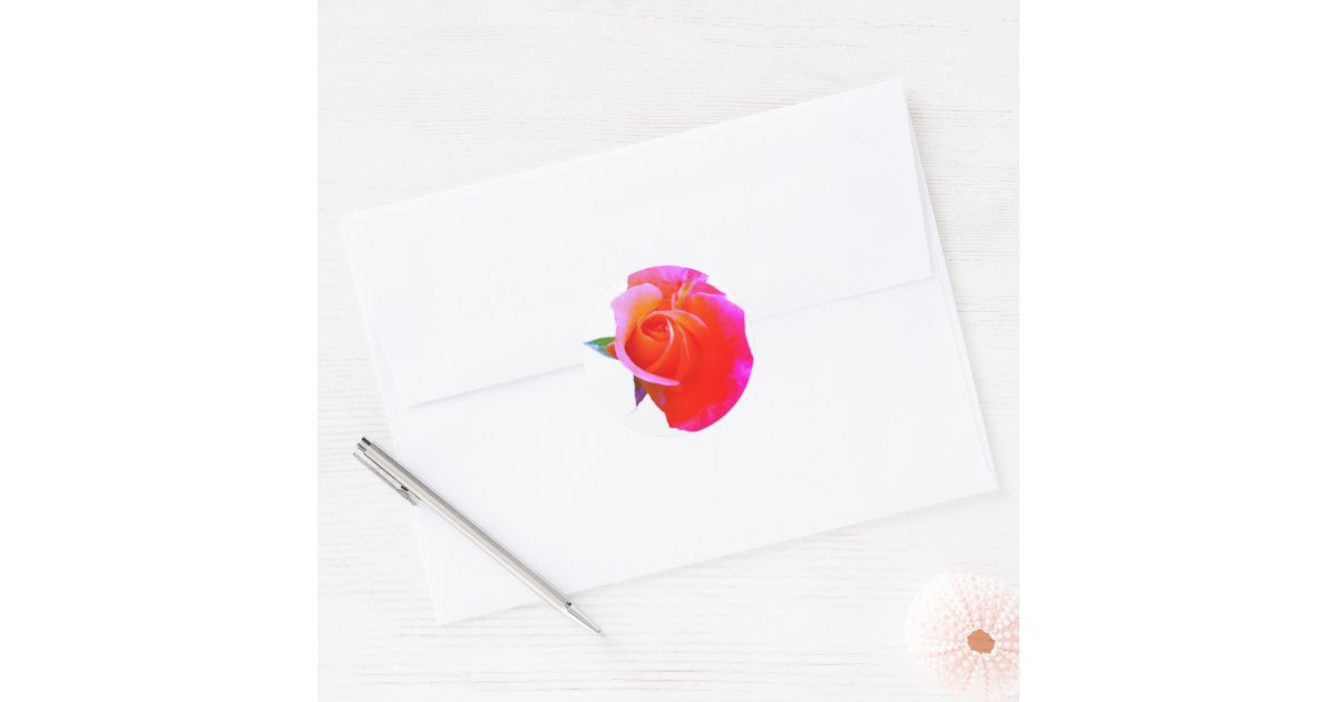Orange Pink Rose Stikers Classic Round Sticker | Zazzle