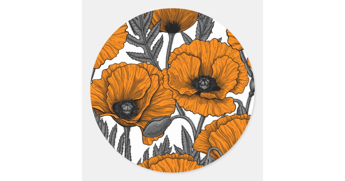 Orange poppies on white classic round sticker | Zazzle