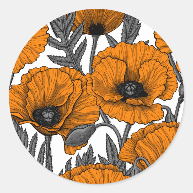 Orange poppies on white classic round sticker | Zazzle