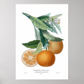 Orange Poster | Zazzle