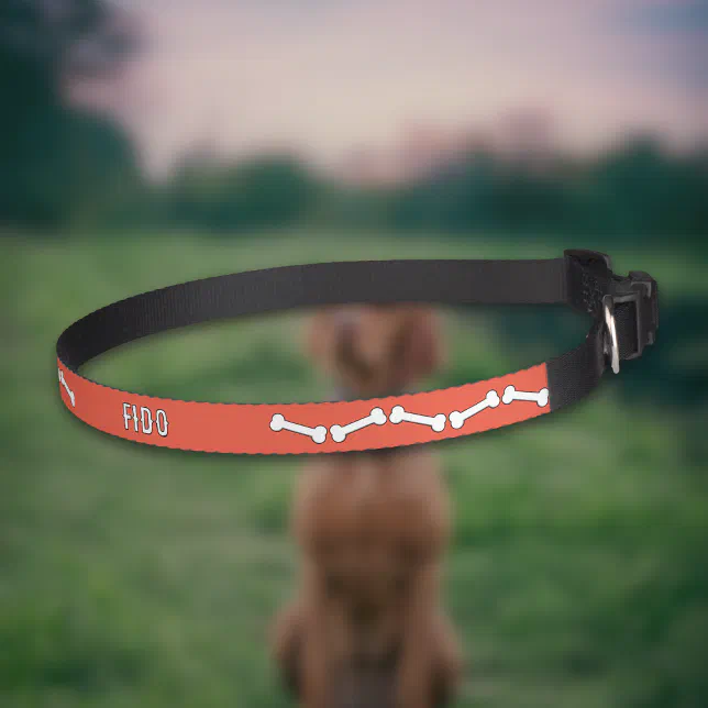 Orange/Red Background Bone Pattern Pet Collar | Zazzle